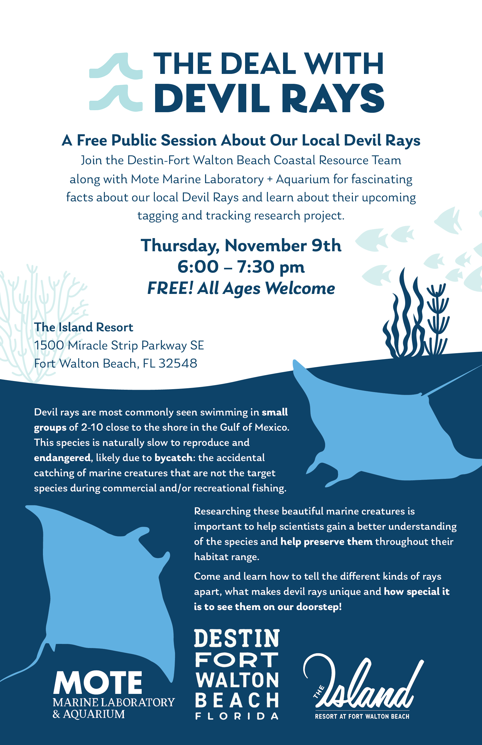 The Deal with Devil Rays (Learn about Devil Rays)-Aruba | The Island Resort